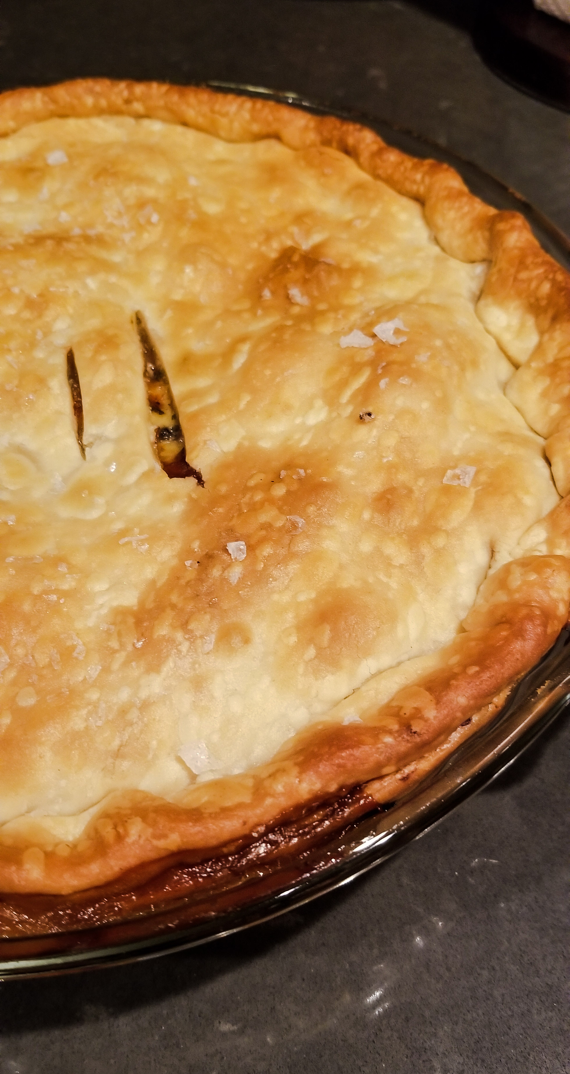 Steak Mushroom and Gruyere Pie Adventure Part II – Disholicious